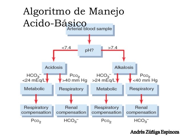 Regulación Ácido-Base - Fisiología Humana