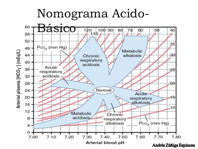Regulación Ácido-Base - Fisiología Humana
