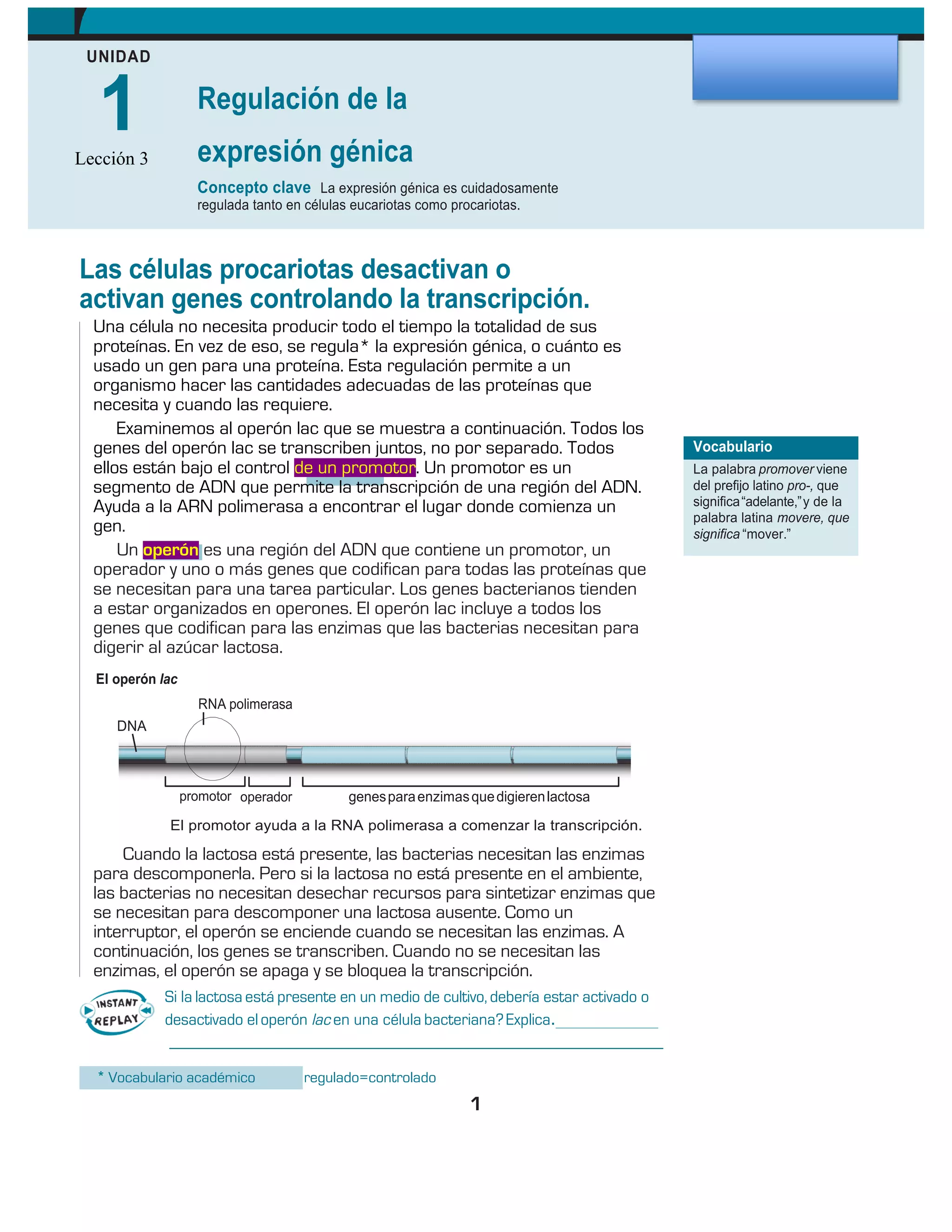 Regulación de la expresión génica | PDF