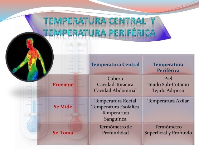 Regulacion de la temperatura corporal