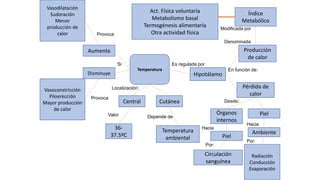 REGULACION DE LA TEMPERATURA CORPORAL Y FIEBRE22.pptx