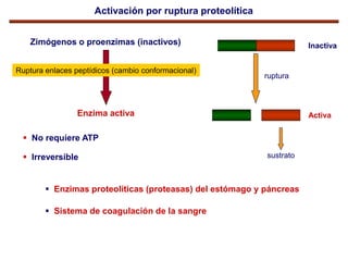 Regulacion enzimatica | PDF