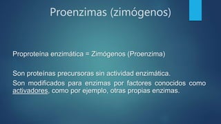 Regulación enzimática/Enzymatic regulations of Biochemistry | PPTX