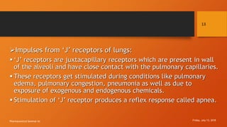Regulaion of Respiration (presentation) | PPT