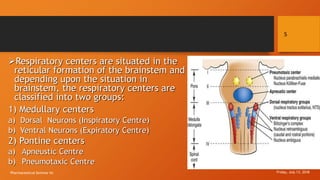 Regulaion of Respiration (presentation) | PPT