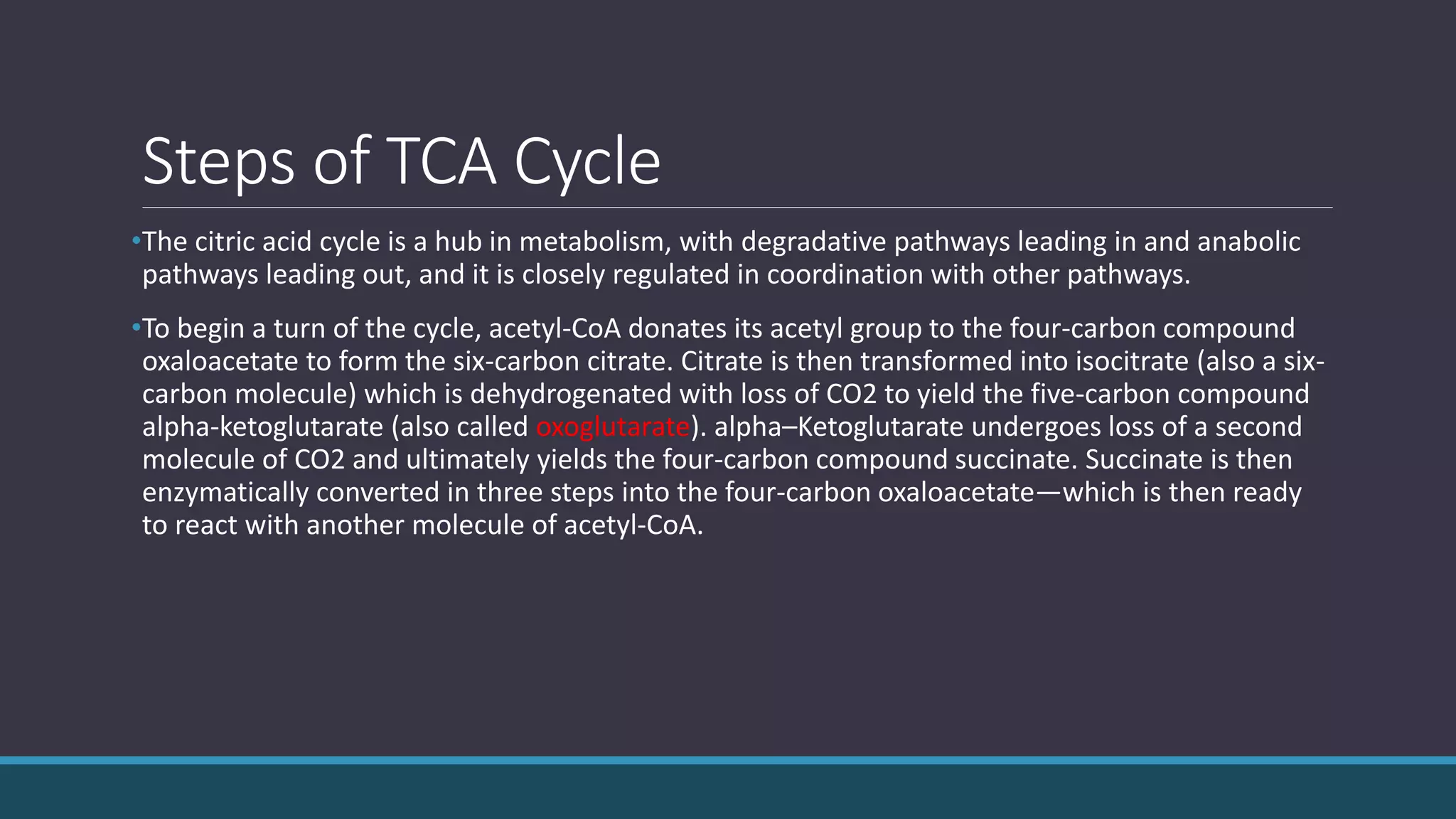 Regulaion of tca and glyoxylate cycle | PPTX