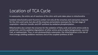 Regulaion of tca and glyoxylate cycle | PPTX