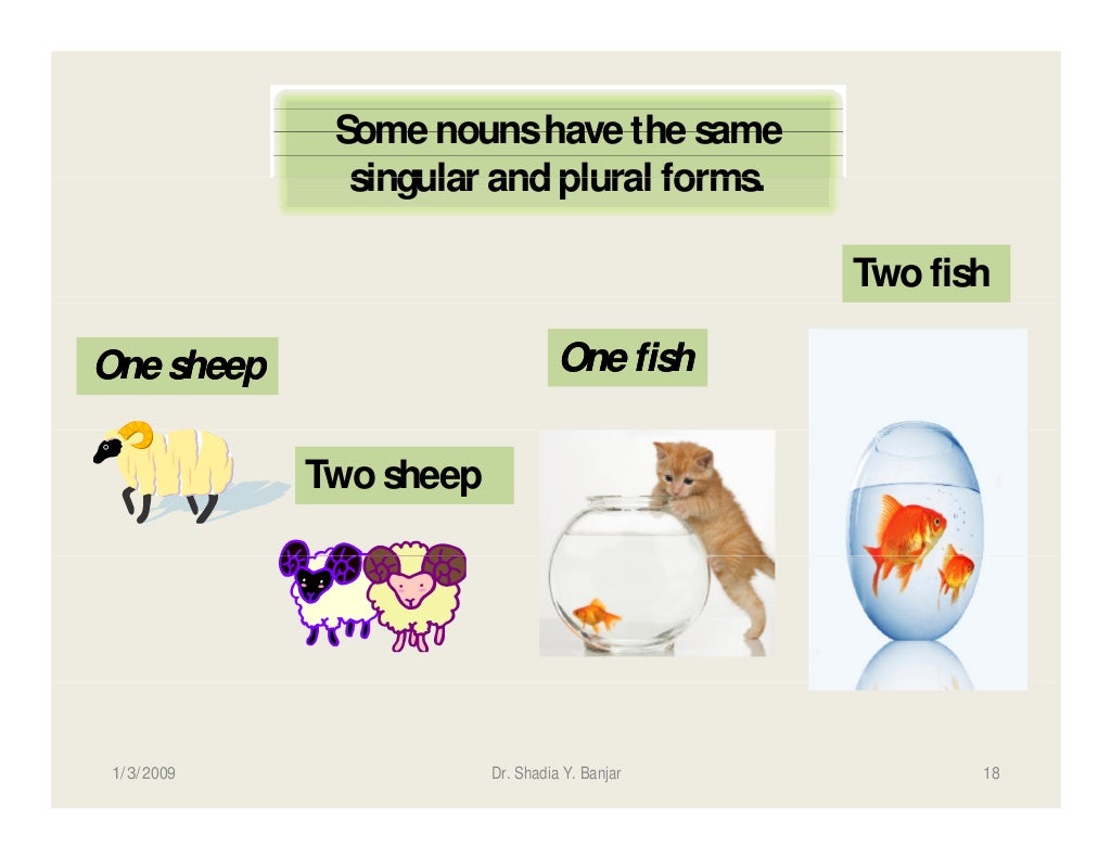 Regular And Irregular Plural Nouns pdf regular-and-irregular-plural-nouns-pdf