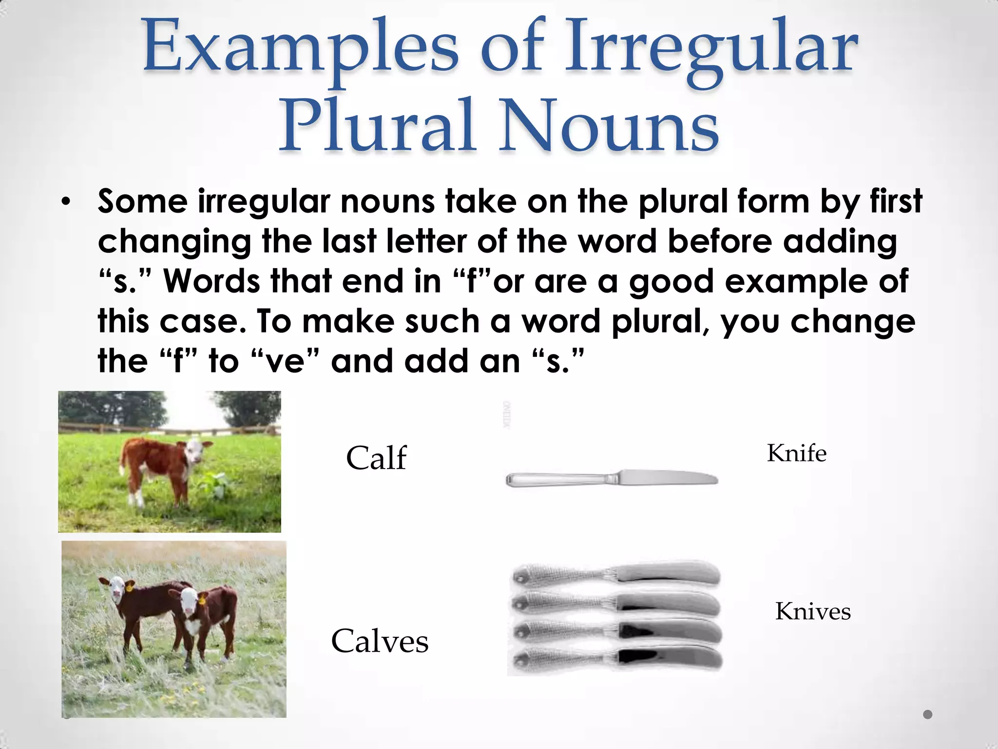 Regular and Irregular plural nouns! | PPTX