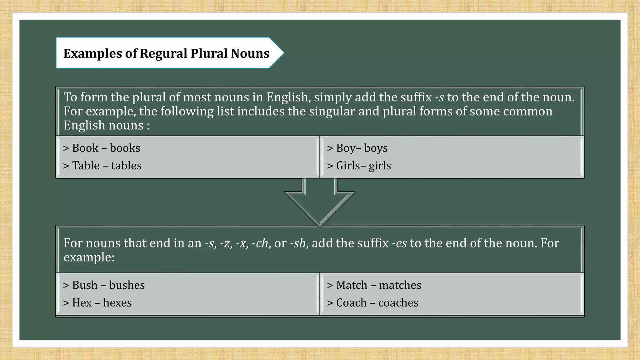Regular and irregular plural nouns, possessive nouns, count and non ...