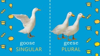 IRREGULAR PLURALS.pptx