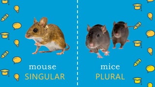 IRREGULAR PLURALS.pptx