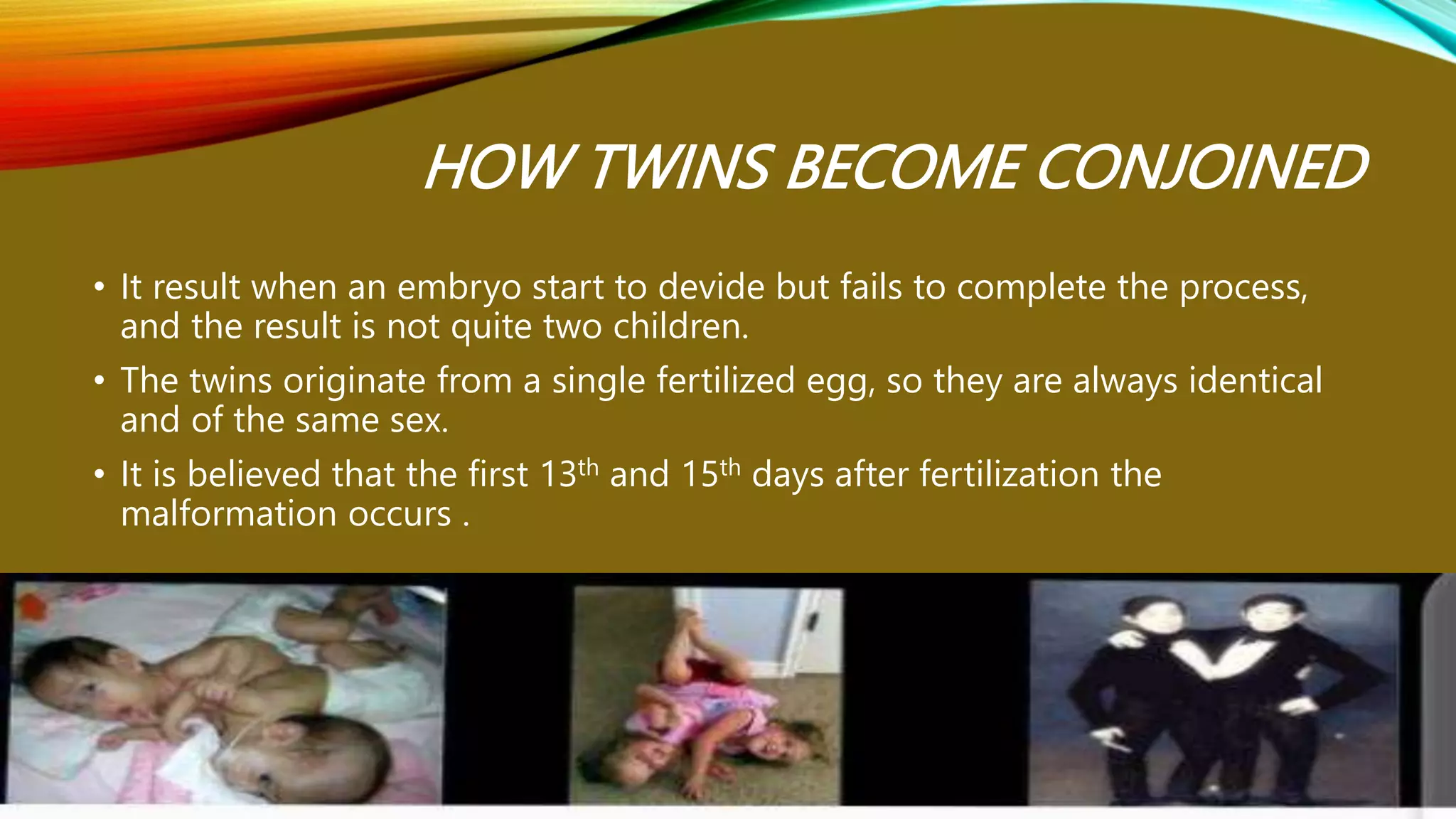 regular and irregular types of reflection twins.pptx