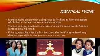 regular and irregular types of reflection twins.pptx