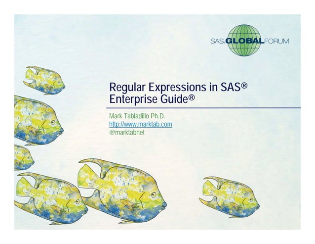 Regular Expressions in SAS Enterprise Guide | PDF