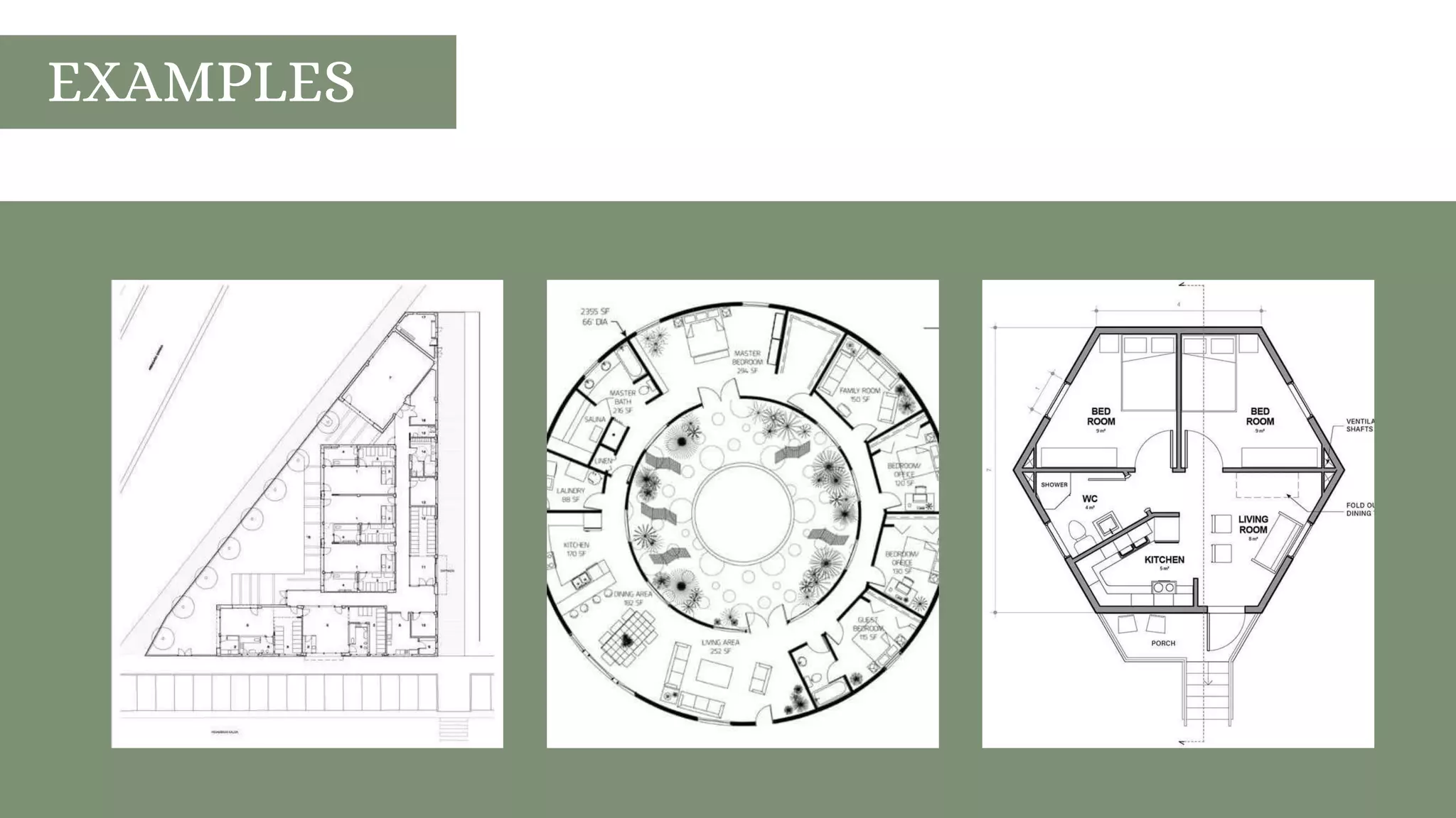 Regular & Irregular Forms and Transformation.pptx