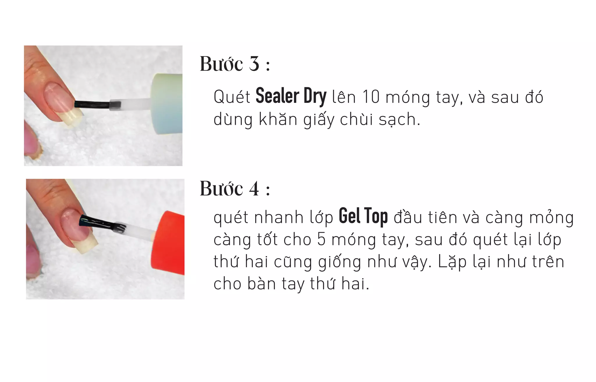 SNS Regular set refill (VN) | PDF