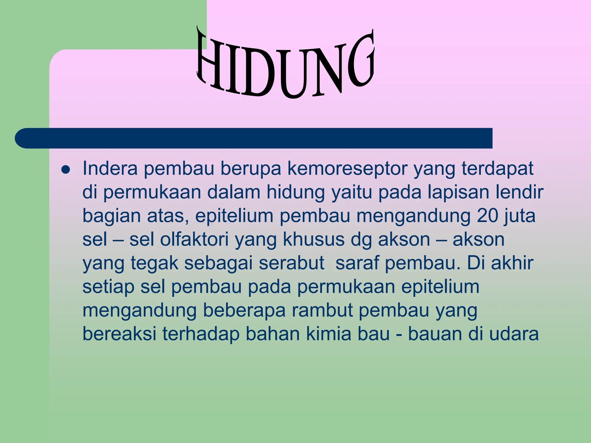 SISTEM REGULAS PADA MANUSIAI (INDERA).ppt