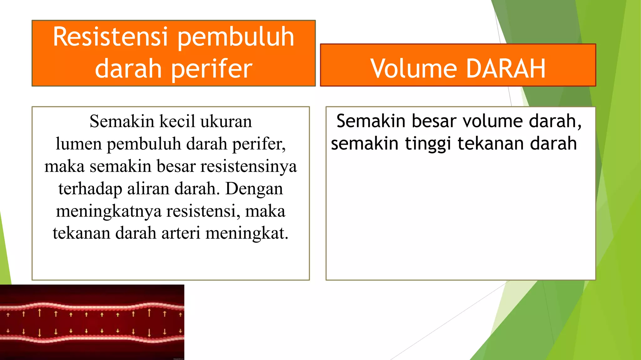 Regulasi Tekanan Darah.pptx