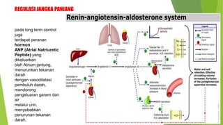 Regulasi Tekanan Darah.pptx