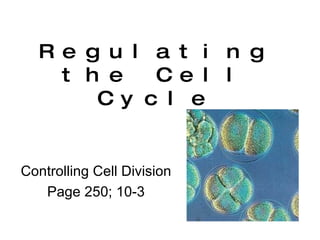 Regulating Cells | PPT