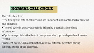 Regulating the cell cycle explained brieflyyyyy.pdf