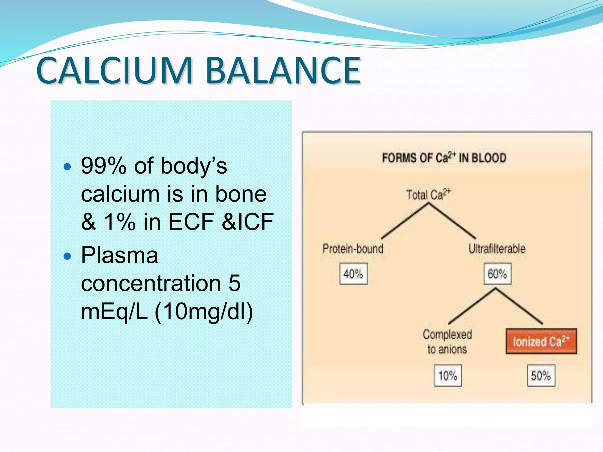 Potassium, Calcium & Phosphate Balance | PPTX