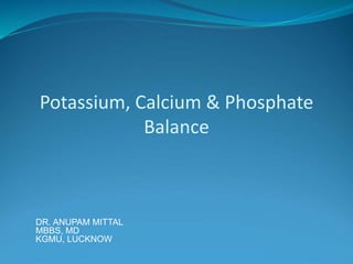 Potassium, Calcium & Phosphate Balance | PPTX