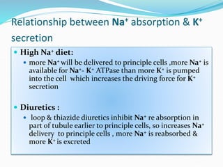 Potassium, Calcium & Phosphate Balance | PPTX