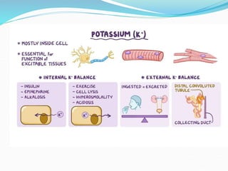 Potassium, Calcium & Phosphate Balance | PPTX