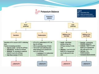 Potassium, Calcium & Phosphate Balance | PPTX