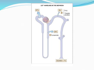 Potassium, Calcium & Phosphate Balance | PPTX