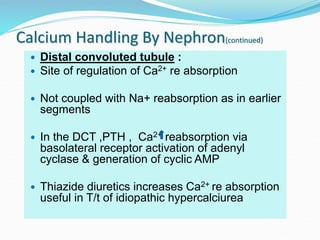Potassium, Calcium & Phosphate Balance | PPTX