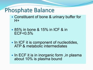 Potassium, Calcium & Phosphate Balance | PPTX
