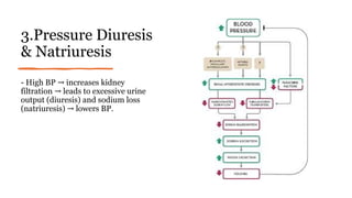 regulation of blood levels and atrial diaystole and systole | PPTX