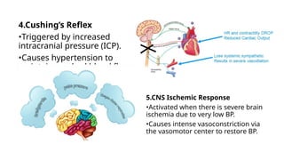 regulation of blood levels and atrial diaystole and systole | PPTX