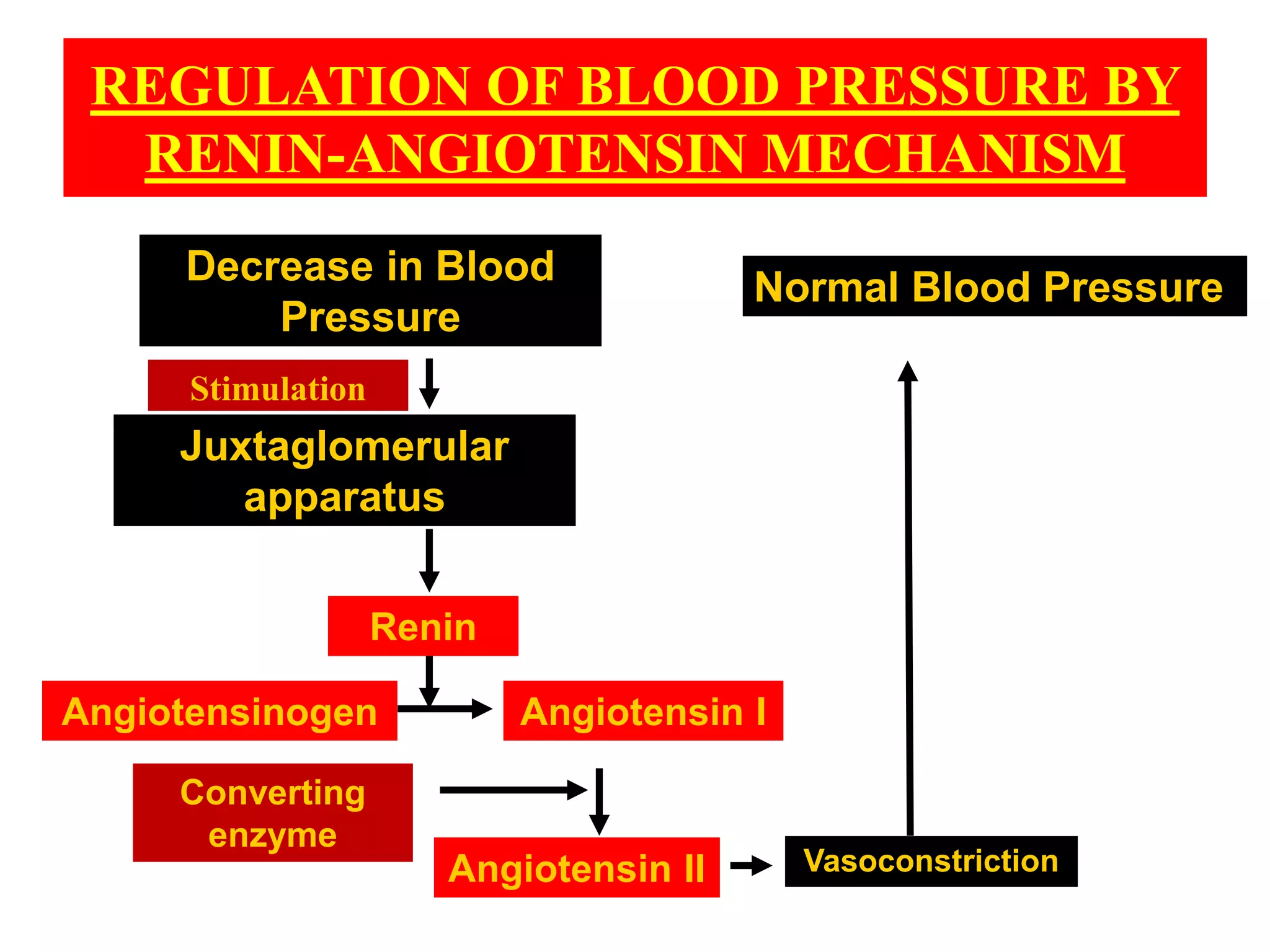 Regulation of-arterial-blood-pressure | PPTX