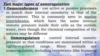 REGULATION-OF-BODY-FLUIDS.pptxhdhdhdhdhhd | PPTX