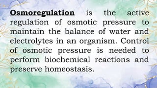 REGULATION-OF-BODY-FLUIDS.pptxhdhdhdhdhhd | PPTX