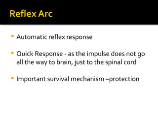 Regulation & control | PPT