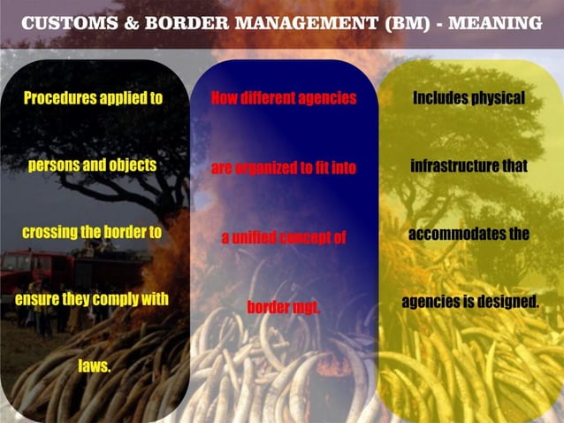 Regulation, Customs and Border Management | PDF