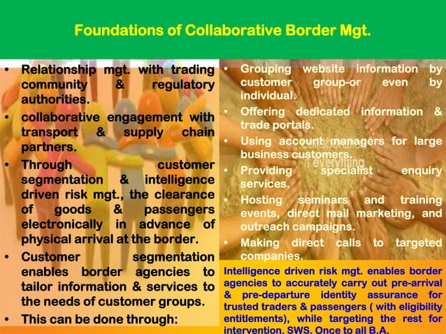 Regulation, Customs and Border Management | PDF