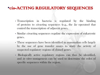 Transcription Regulation in Eukaryotes | PPTX