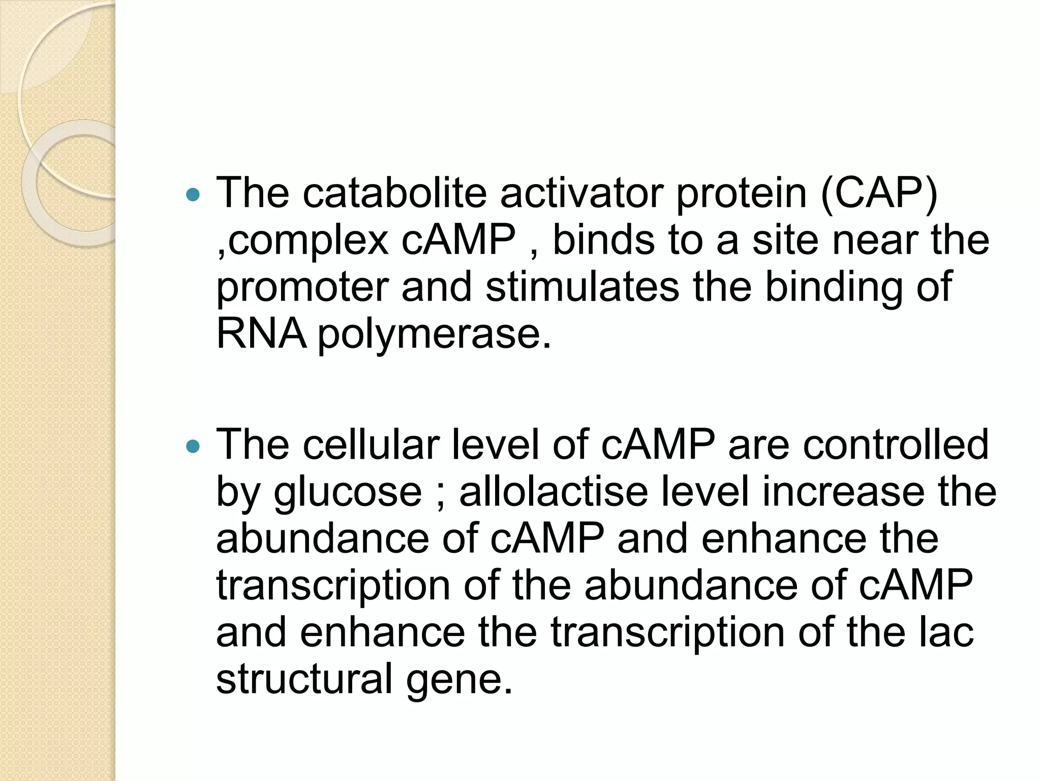 Regulation in lac operon | PPTX