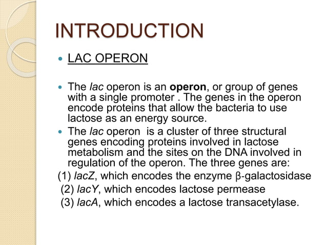Regulation in lac operon | PPTX | Chemistry | Science