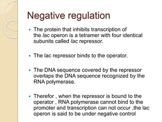 Regulation in lac operon | PPTX
