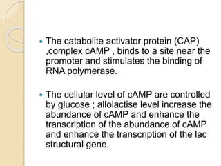 Regulation in lac operon | PPTX