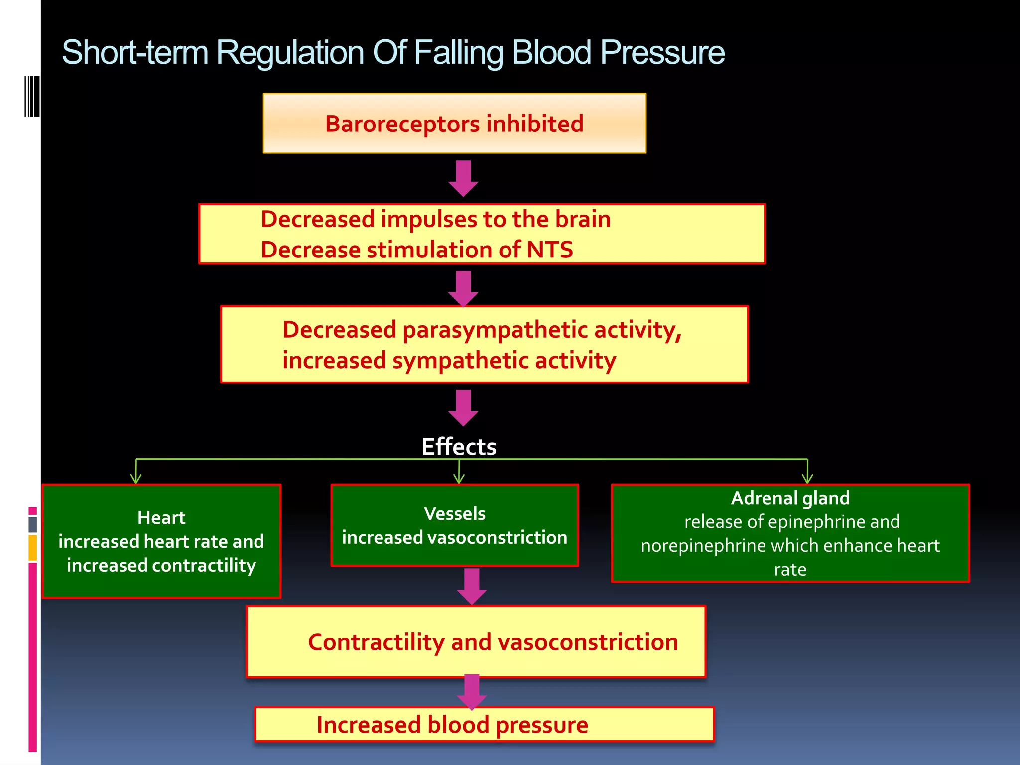 Regulation of arterial blood pressure | PPTX