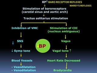 Regulation of arterial blood pressure | PPTX