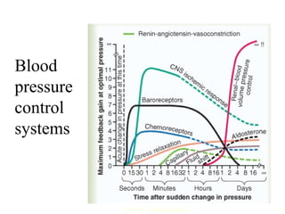 Regulation of arterial pressure-I | PPT